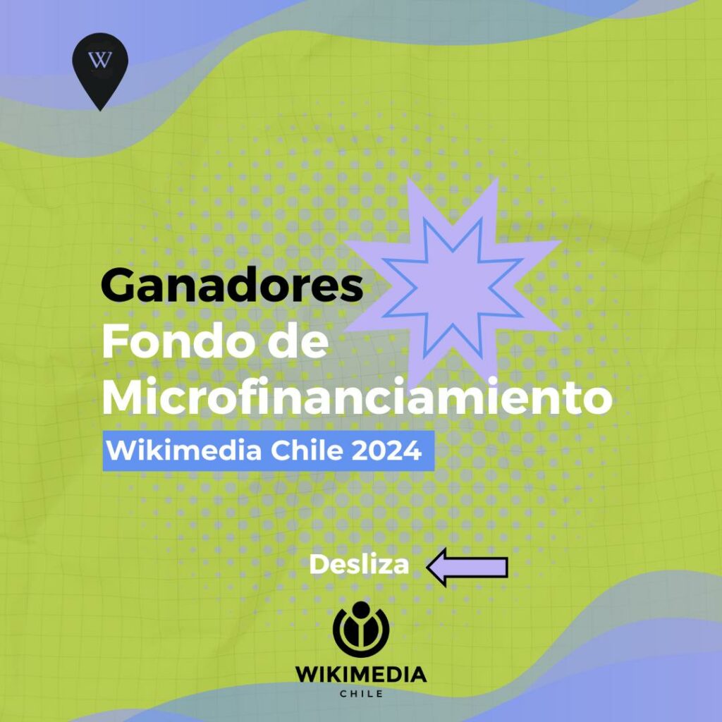 Conoce a los ganadores del 1° Fondo de microfinanciamiento WMCL ...