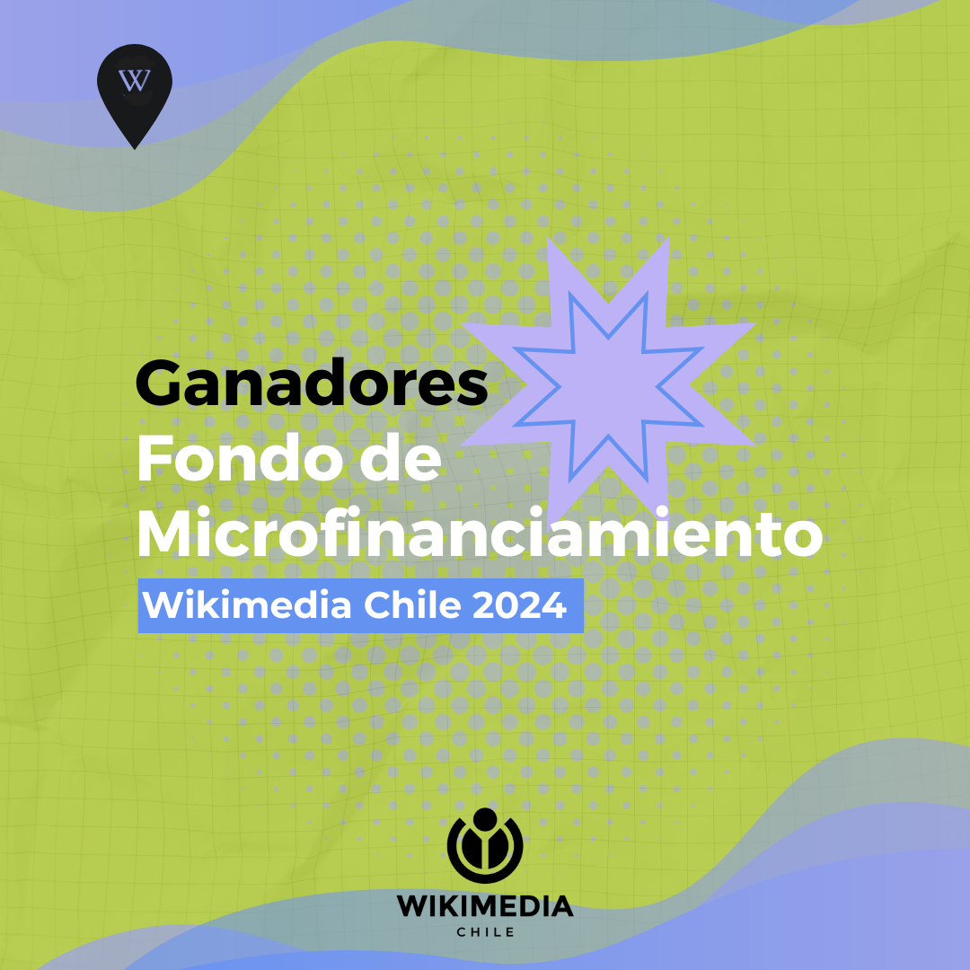 Conoce a los ganadores del 1° Fondo de microfinanciamiento WMCL ...